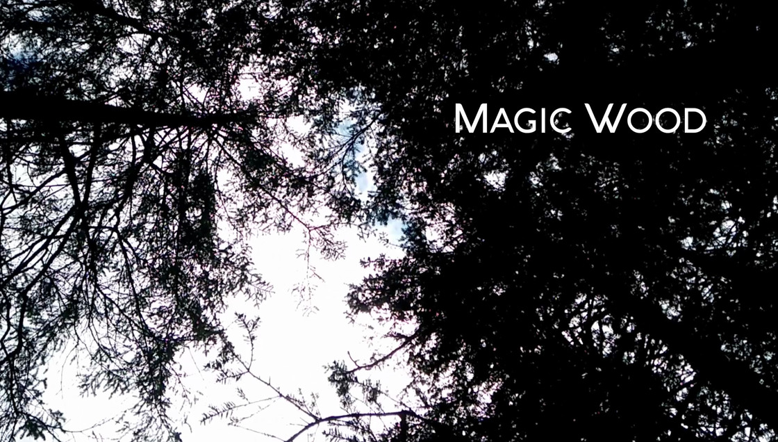 Bouldering in Magic Wood | Full Info and Topos