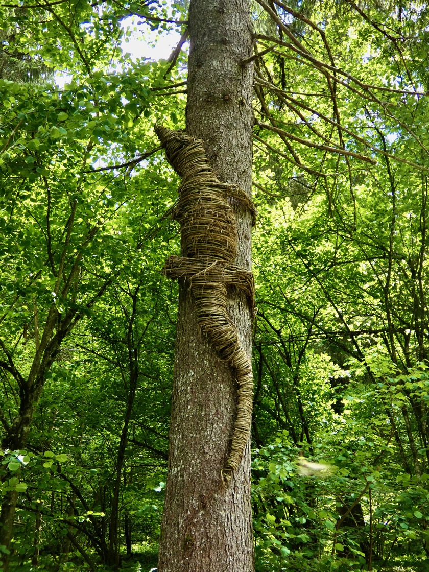 Bouldering in Val Daone | Climbing Guidebook with all info
