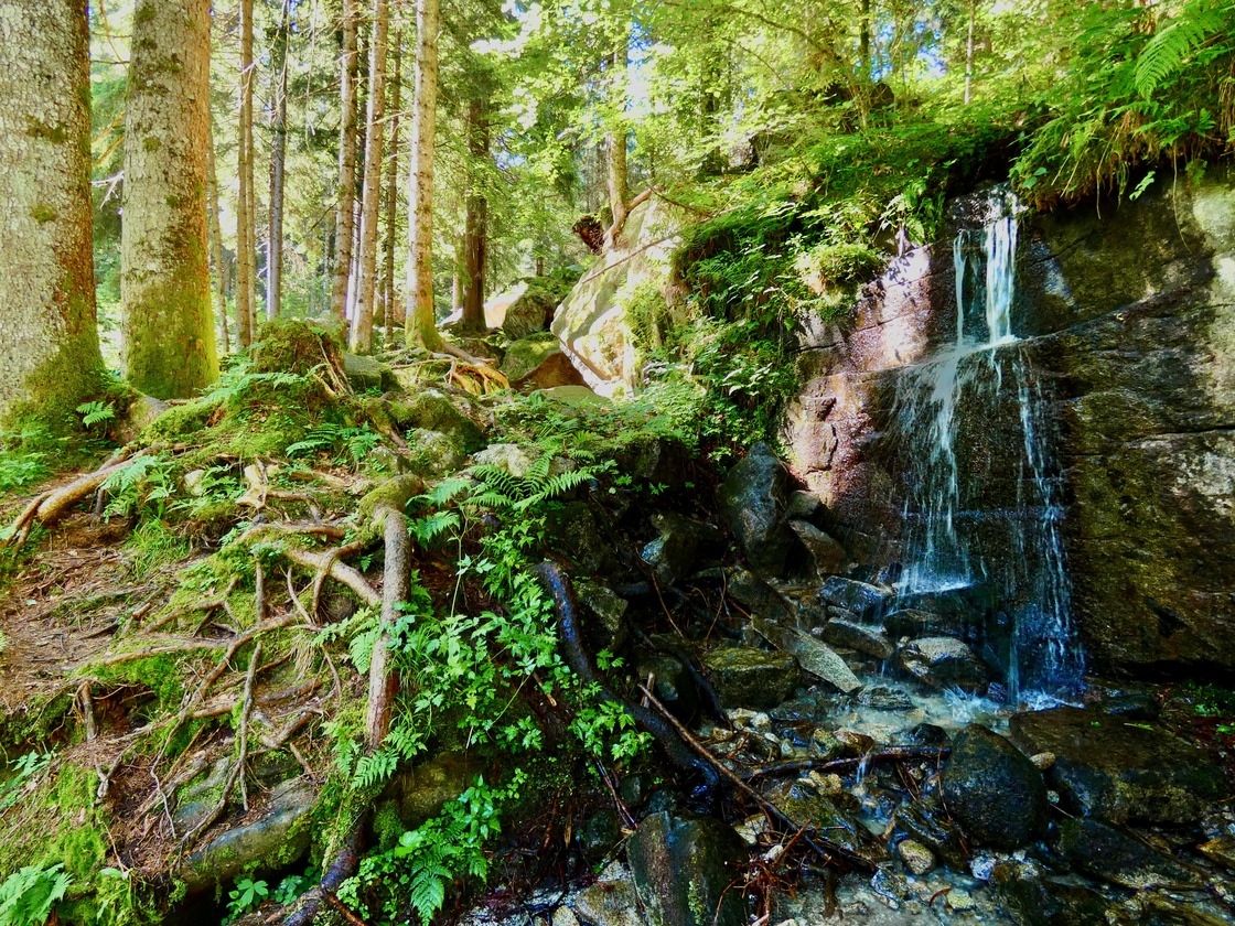 Bouldering in Val Daone | Climbing Guidebook with all info