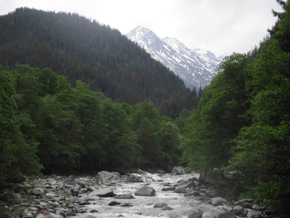 Bouldering in Magic Wood | Full Info and Topos