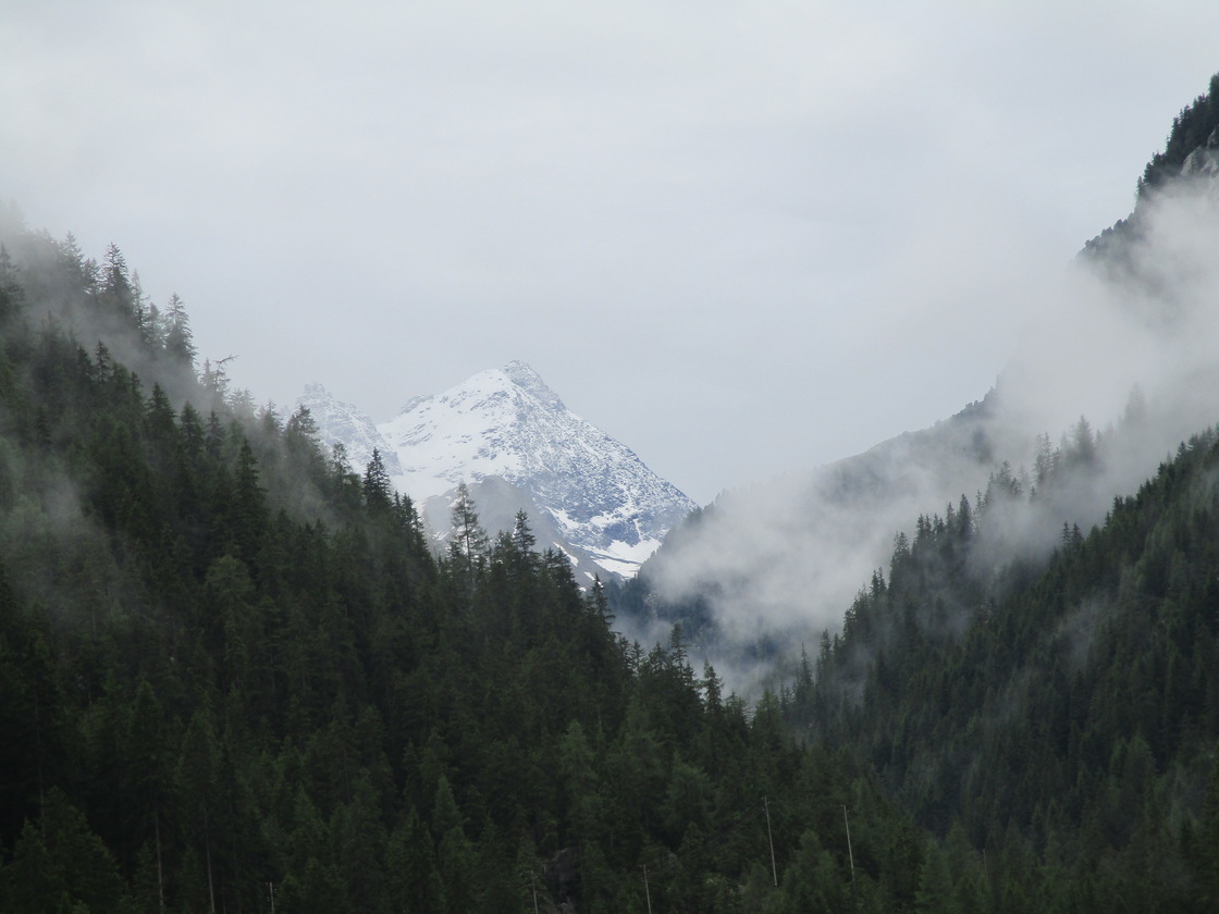 Bouldering in Magic Wood | Full Info and Topos