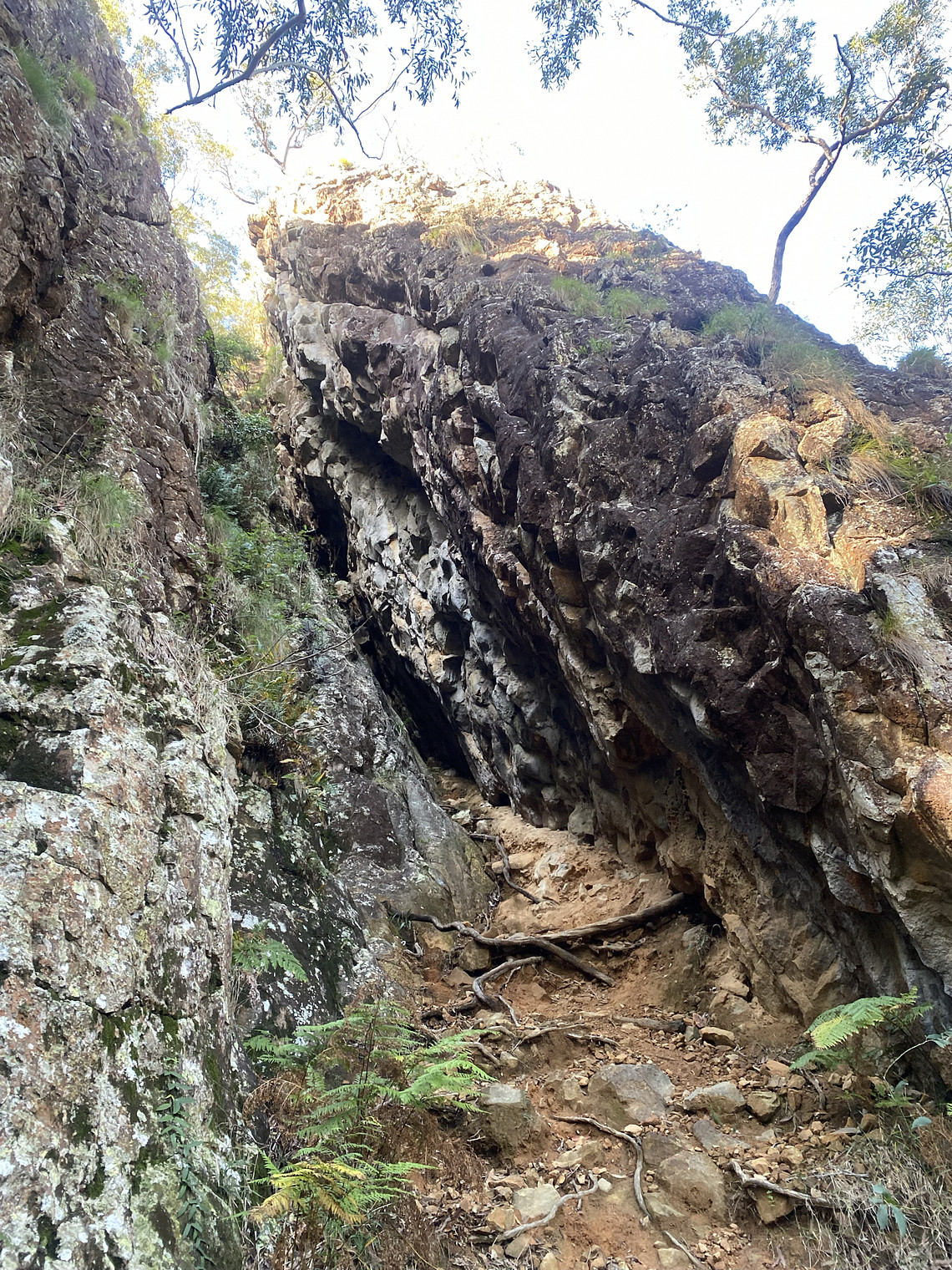 Mt Ngungun - ACID wall