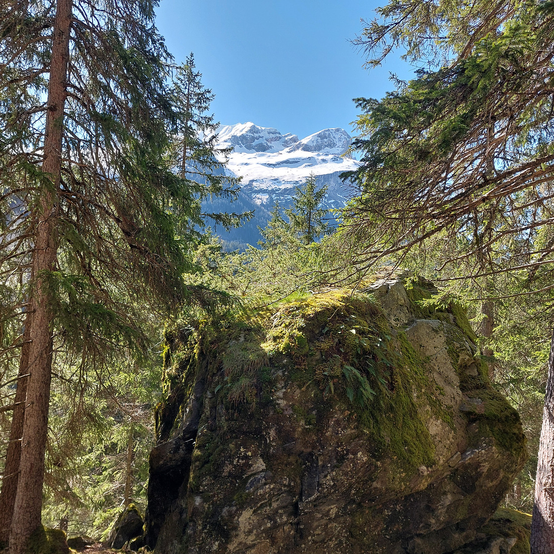 Bouldering in Magic Wood | Full Info and Topos