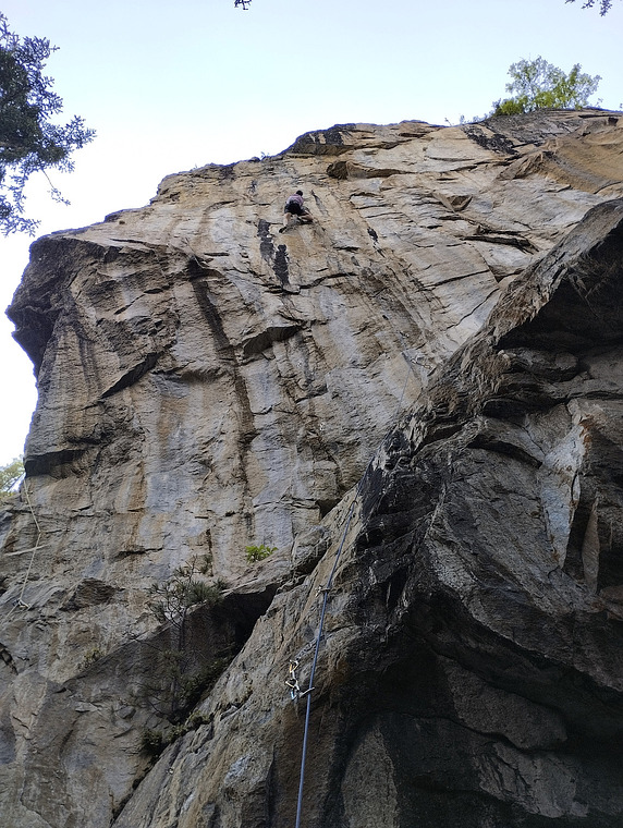 Laimo - Laimo Hauptsektor